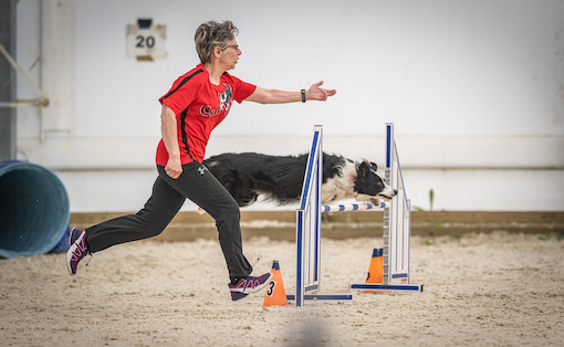 ABOUT Assignment 5 - Distance Divas Dog Agility Training